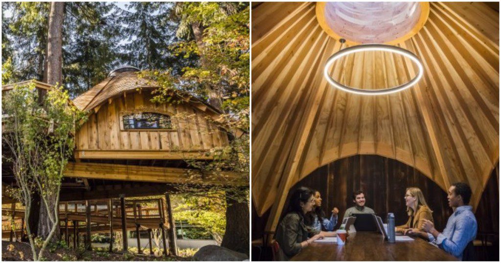 Microsoft Has Built Treehouses For Its Employees Where They Can Conduct ...
