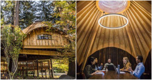 Microsoft Has Built Treehouses For Its Employees Where They Can Conduct ...